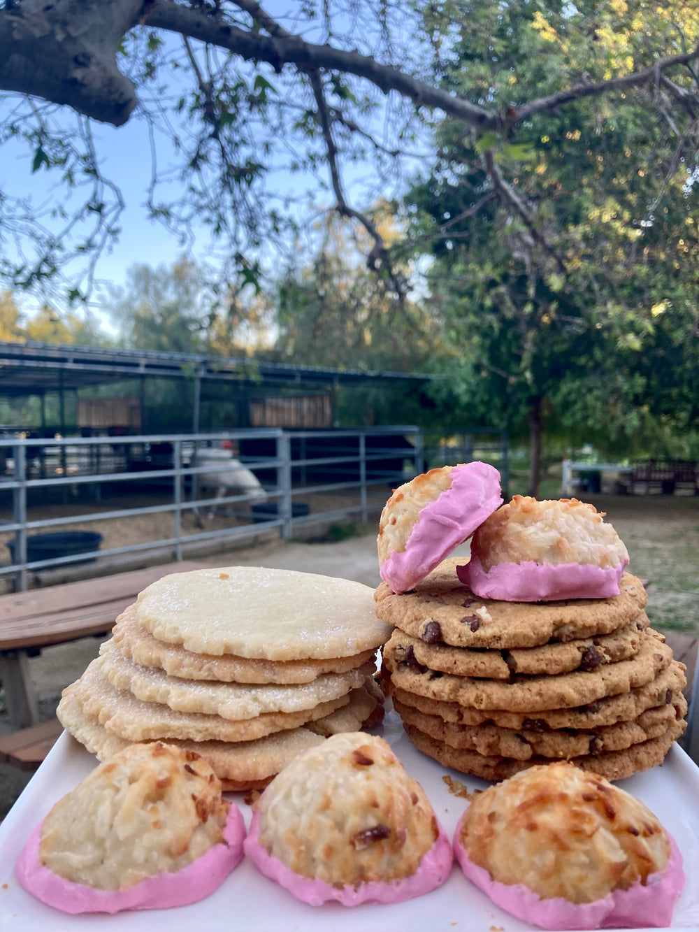 Sweet Treats